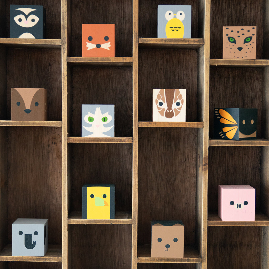 Try Sorting Uncle Goose Blocks into Animal Classifications!